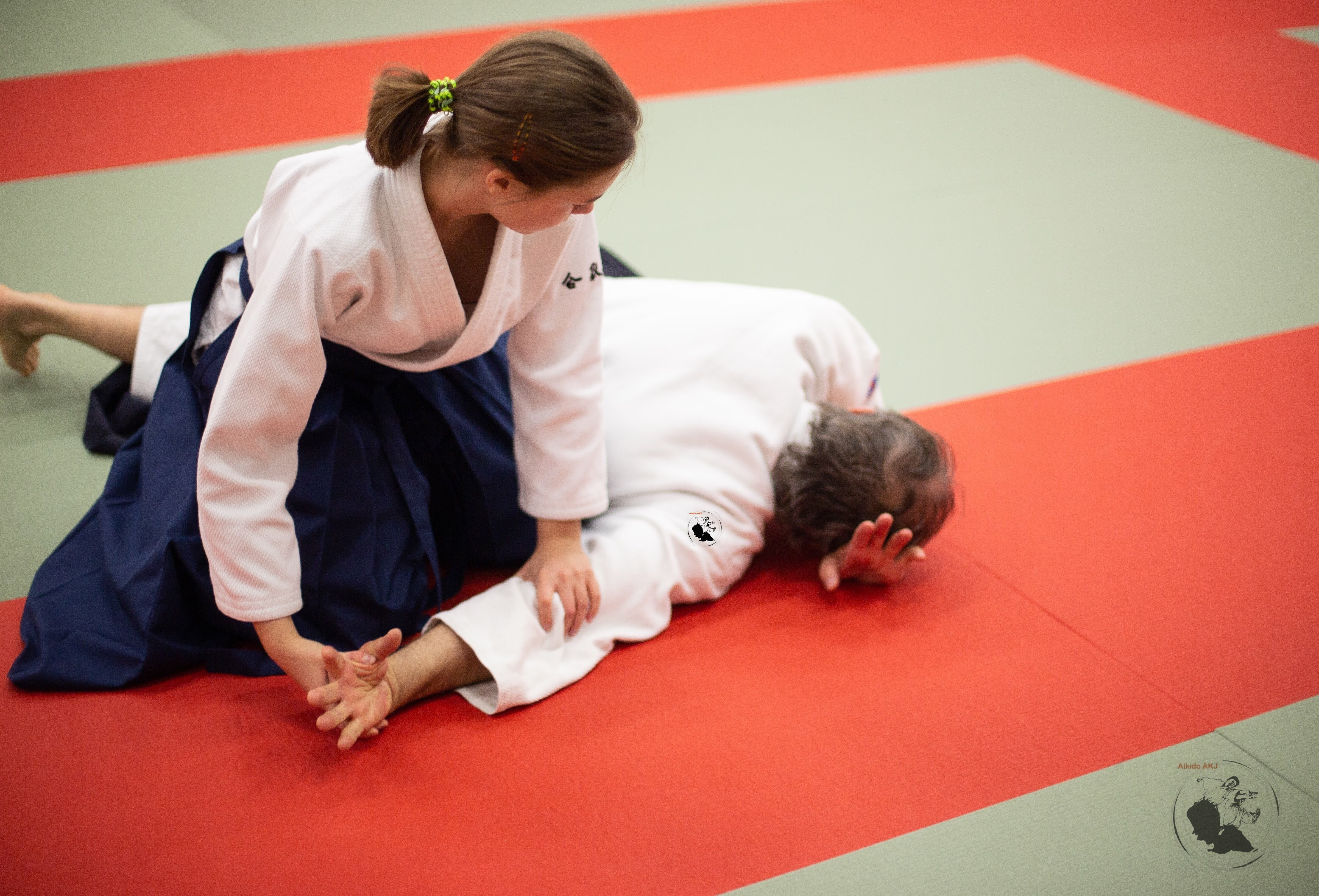 Les techniques – Akj – Institut d'Aïkido